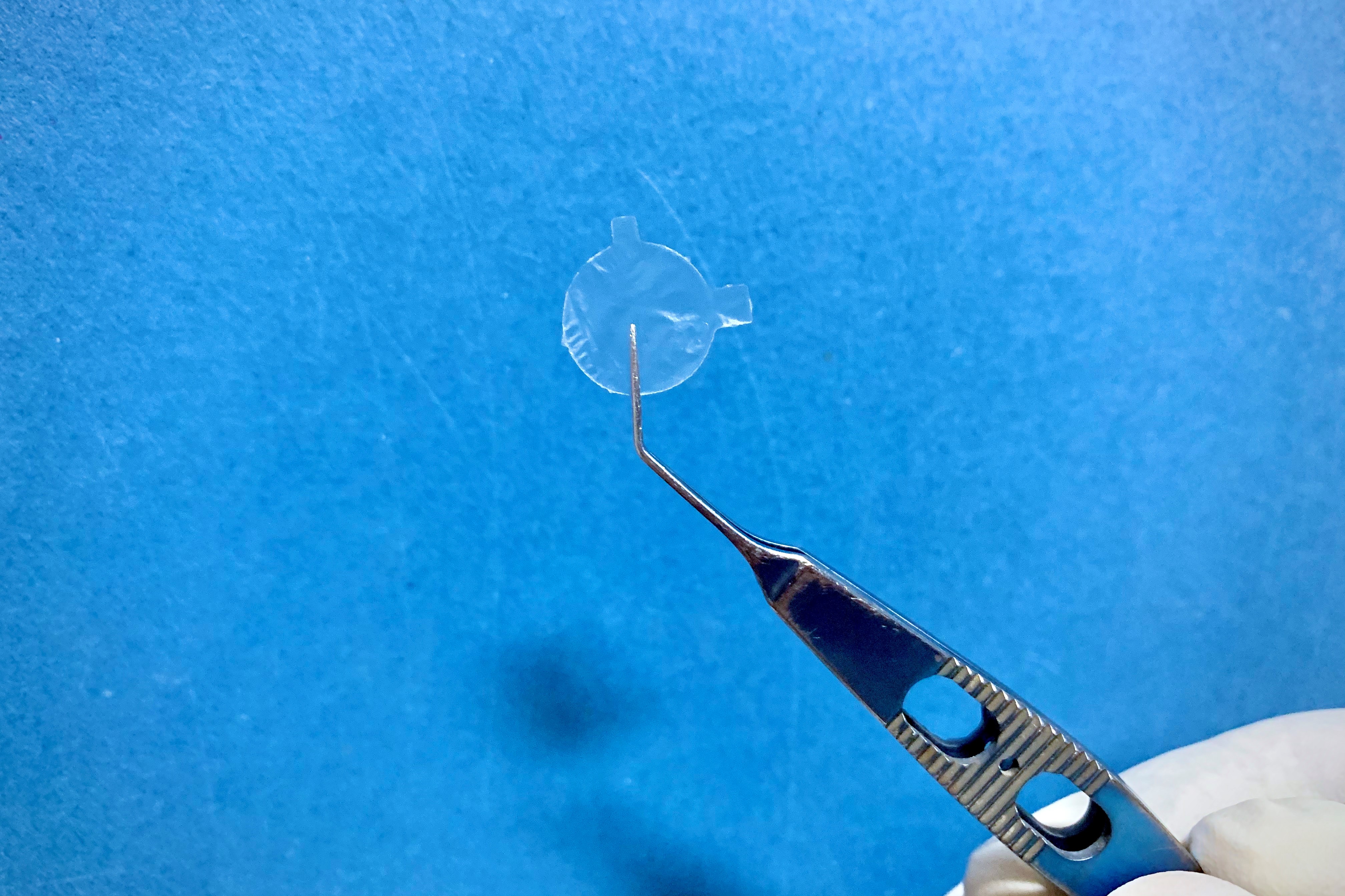 Amniotic membrane for optometrists - eyeonoptics