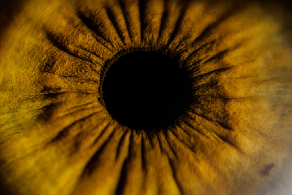 AI identifies ocular therapeutic targets